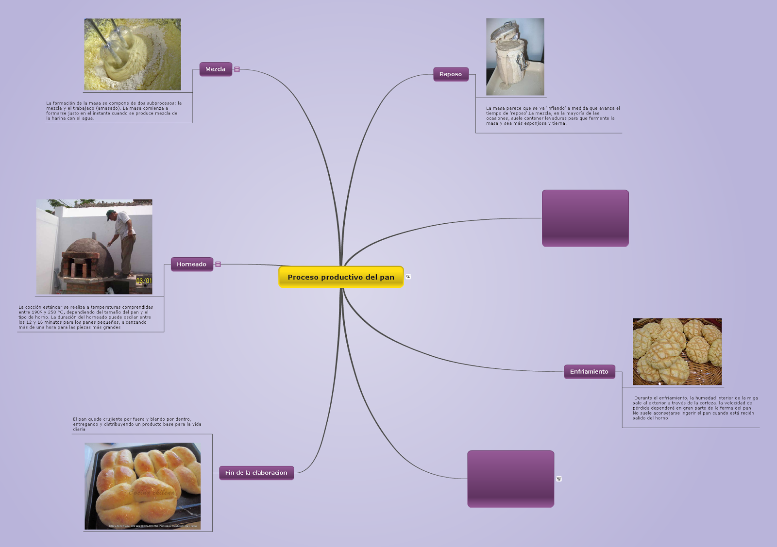 Isidora Dallane: Mapa conceptual de el pan
