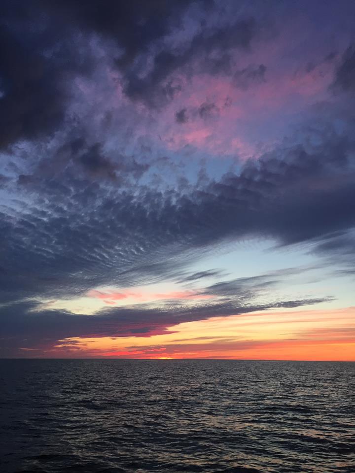 Better Outside Than In: 2016 - Random Photos