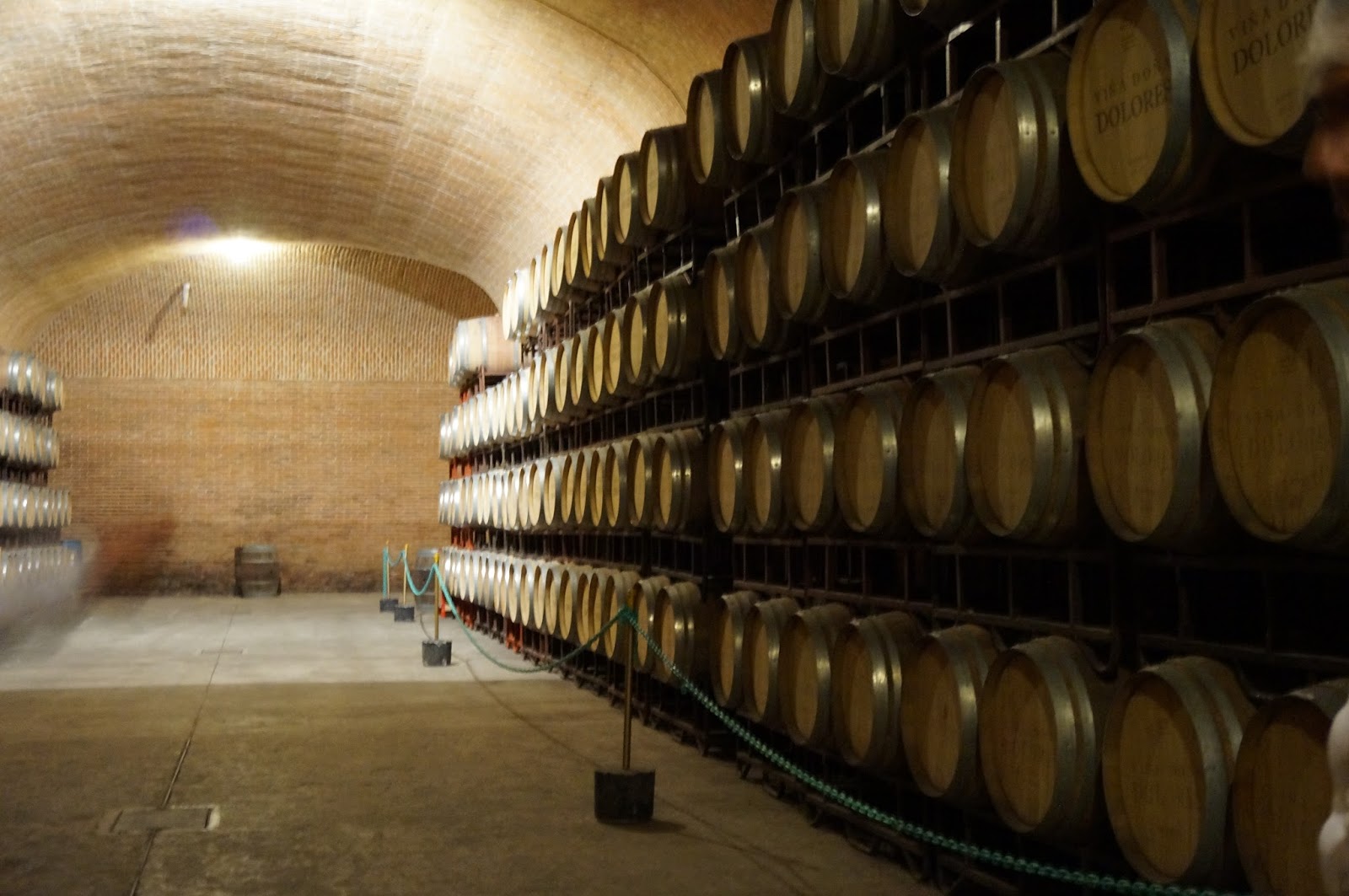 UNA FOTO, MIL RECUERDOS: Finca Sala Vivé, Freixenet México (Ezequiel ...