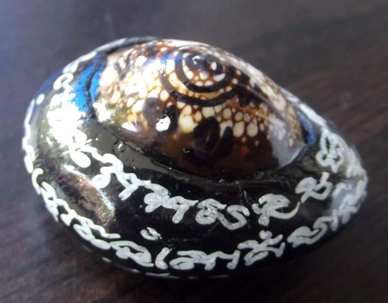 Real Amulets: Bea Kae Shell Real Thai Magic Charm Amulet Luang Phor Upp ...