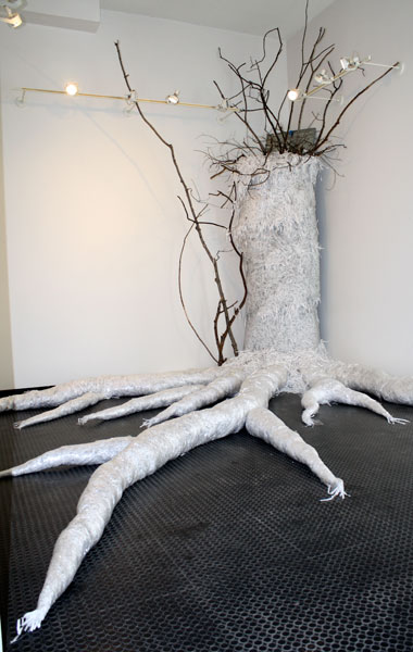 maddy scharf: Installation Art