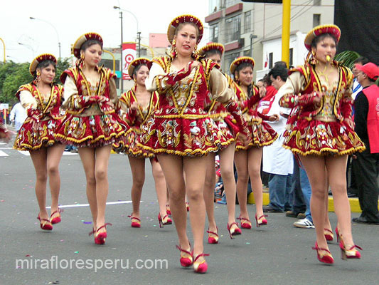 Fraternidad Folklorica Horizonte Caliente 2012: historia de la saya