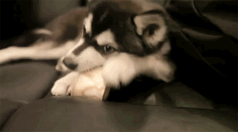 BigtimerushFamoustar: Gifs de BTR Hay muchos gifs que no se mueven por ...