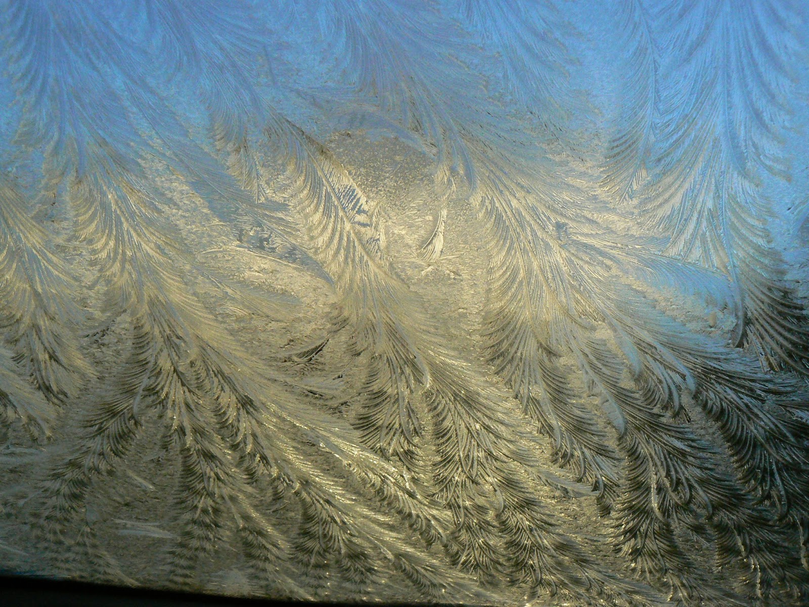 SockletWorld: Frost Patterns