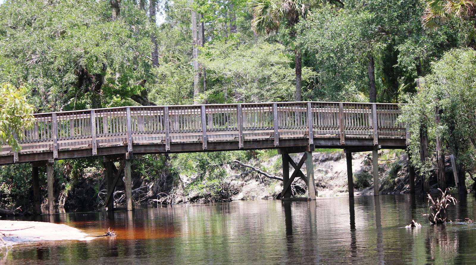 Views From Our Kayak: Econlockhatchee River