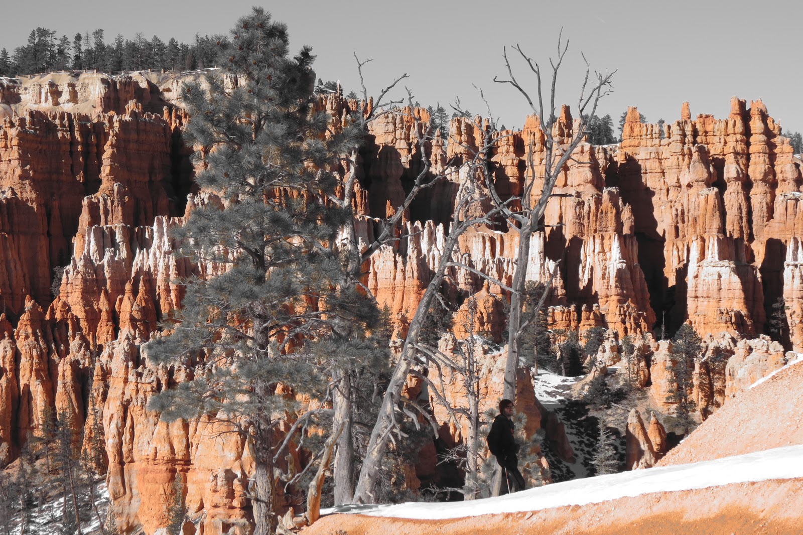 ¡De Utah madre!: Welcome to Utah bro!