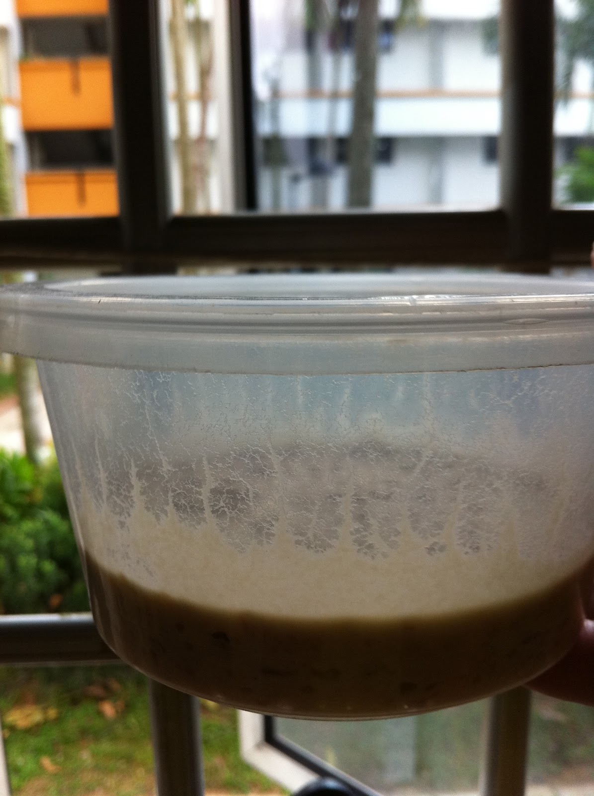 Happy Guppies: Microworms (Live Fish Food)