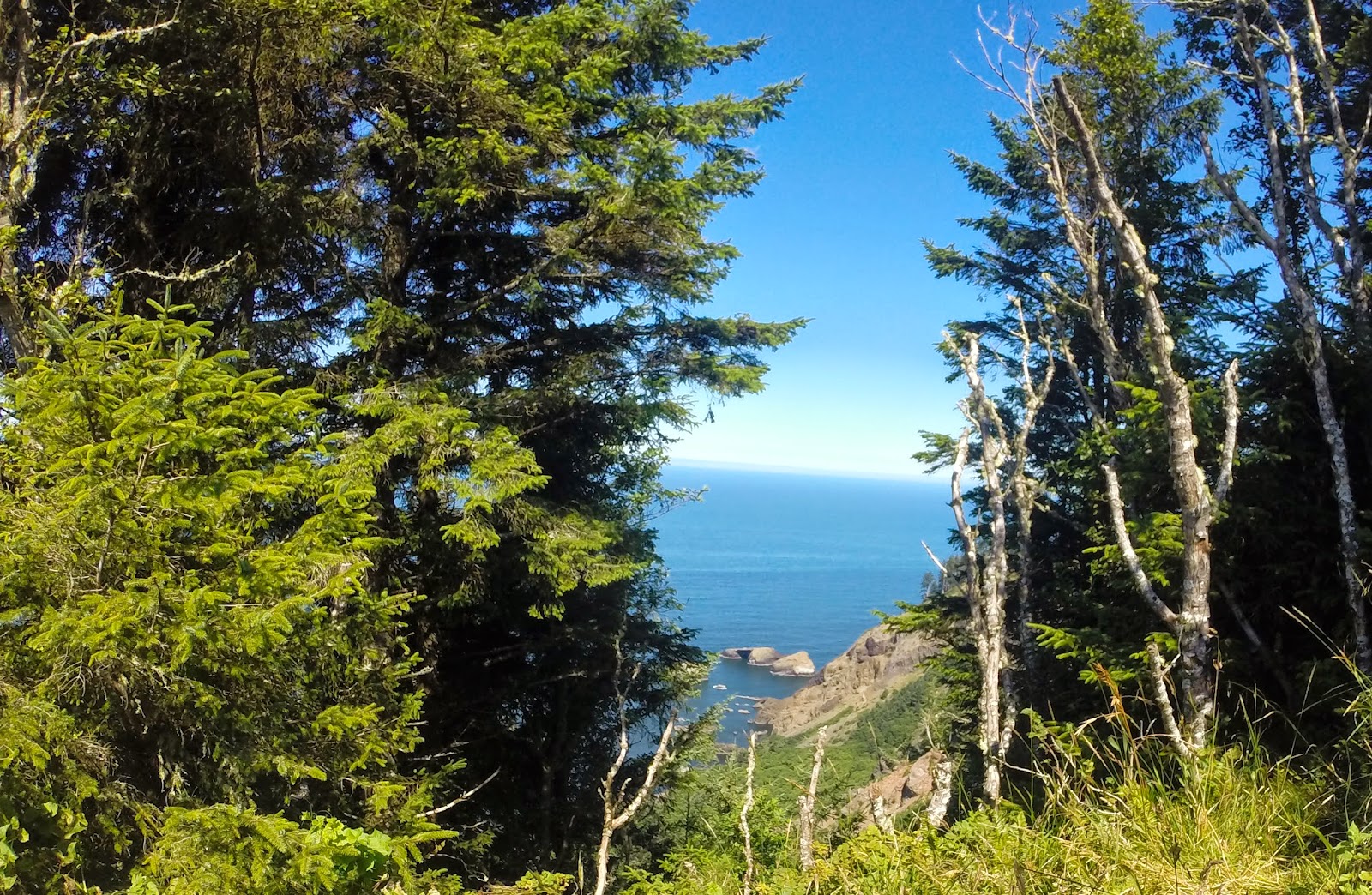 Hiking the Great Northwest: Cascade Head Hike