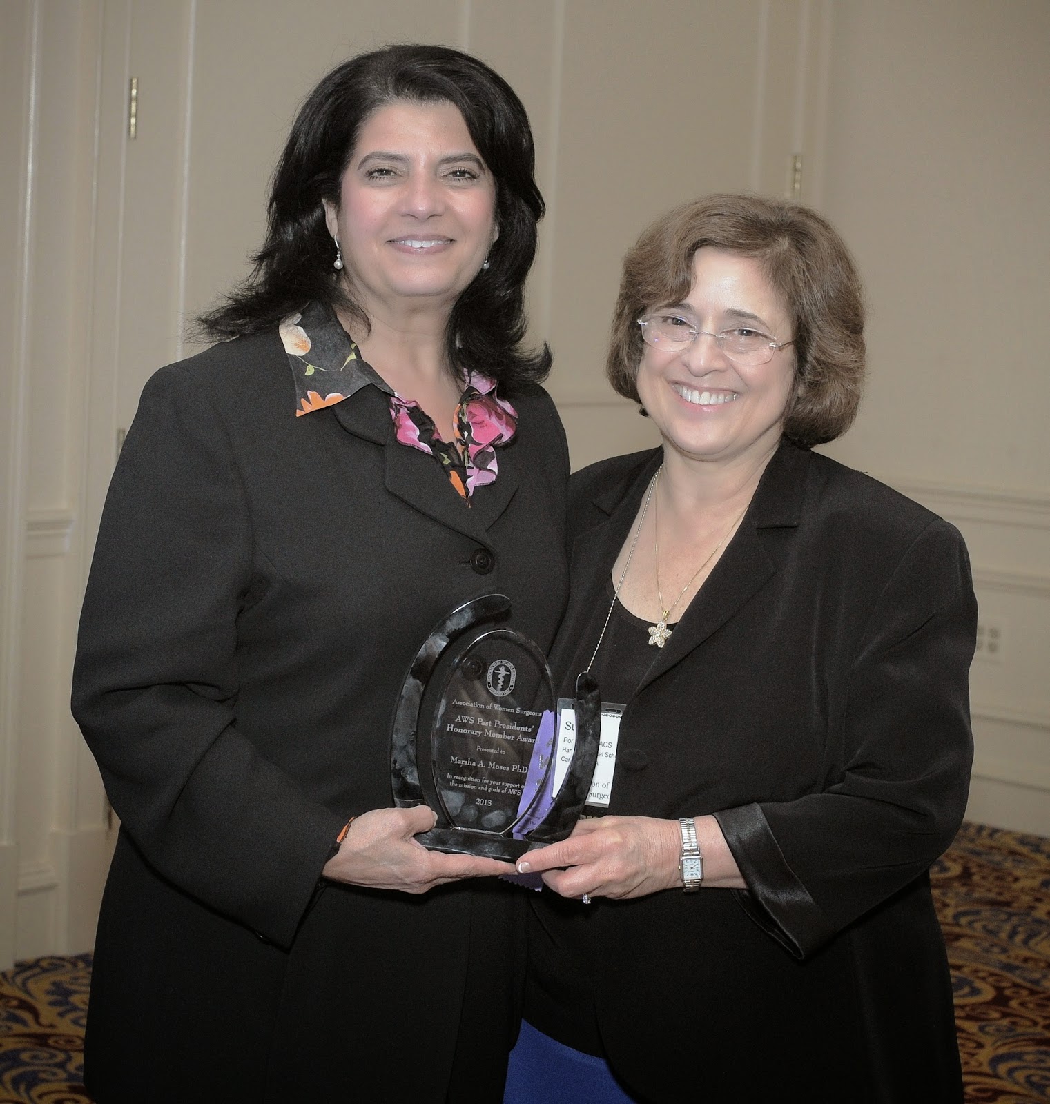 Association of Women Surgeons: Inspiring and Encouraging Women Surgeons Since 1981: The 2013 AWS ...