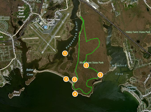 Connecticut Explorer: Walking Bluff Point State Park