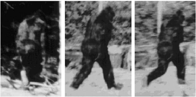 Anomalous Observational Phenomena: Mike Rugg on Sasquatch DNA and Dr ...