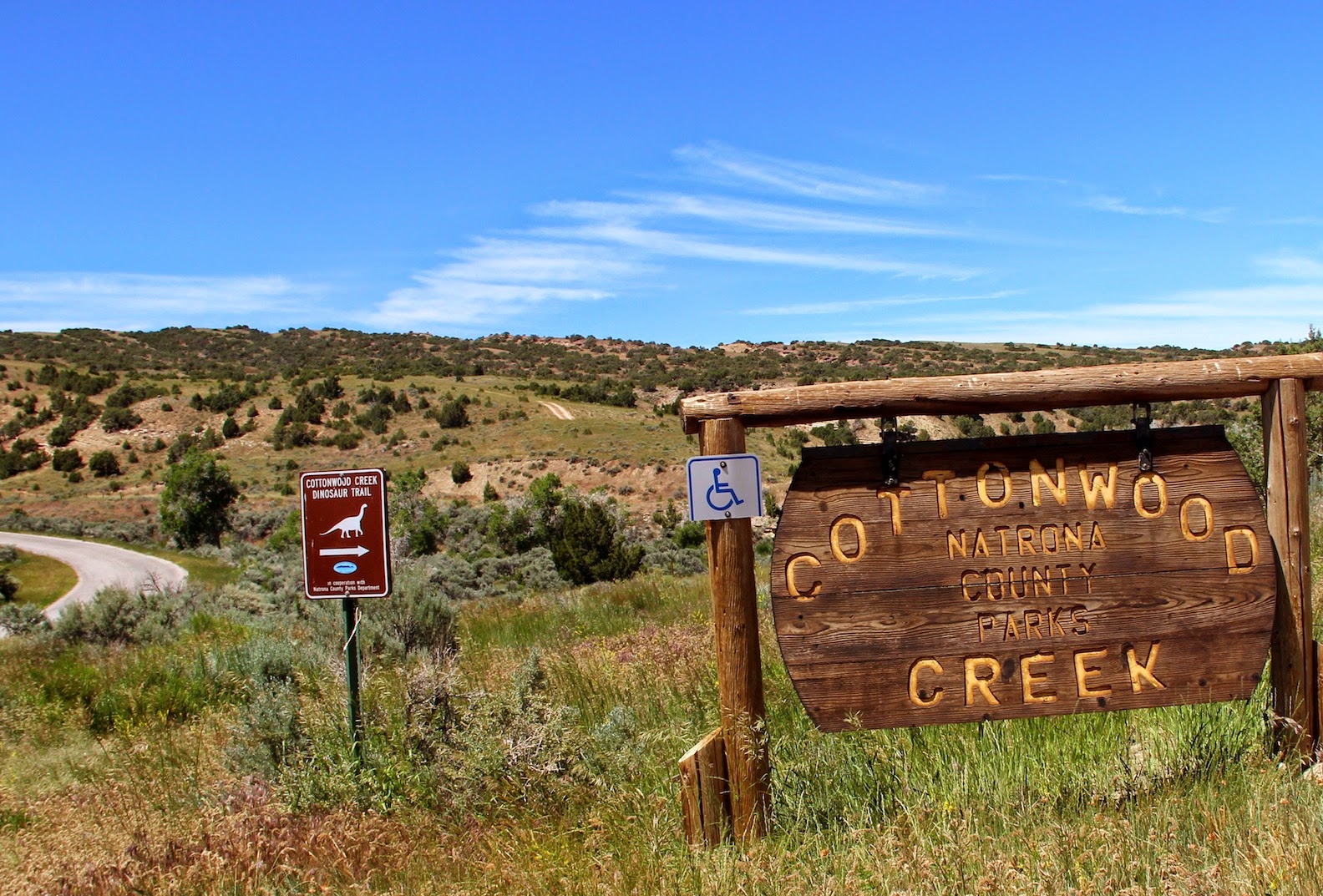 In the Company of Plants and Rocks: Hunting Pterosaurs by the Sundance Sea