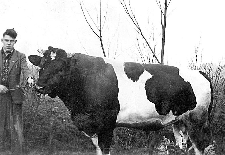 Langs het Duivenpad: Hoe was de naam ook al weer!