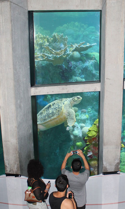 Aquarium News and Updates