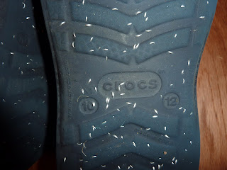 My Husband's Sylva J15 Kit Car Build - A Wife's Perspective