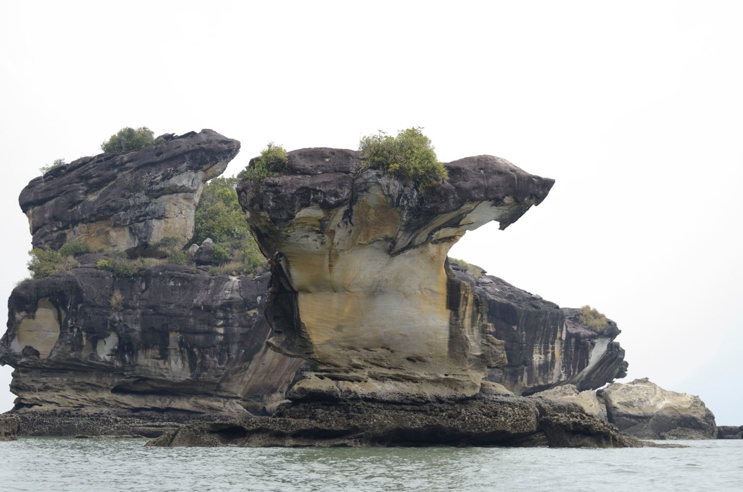 Mountain and Sea: Bako National Park - Nature Reserve
