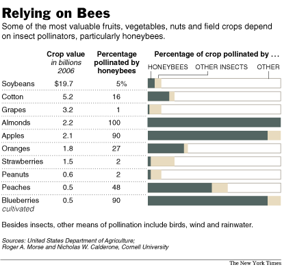 Colony Collapse Disorder : How do the bees affect us? (Anthrosphere)