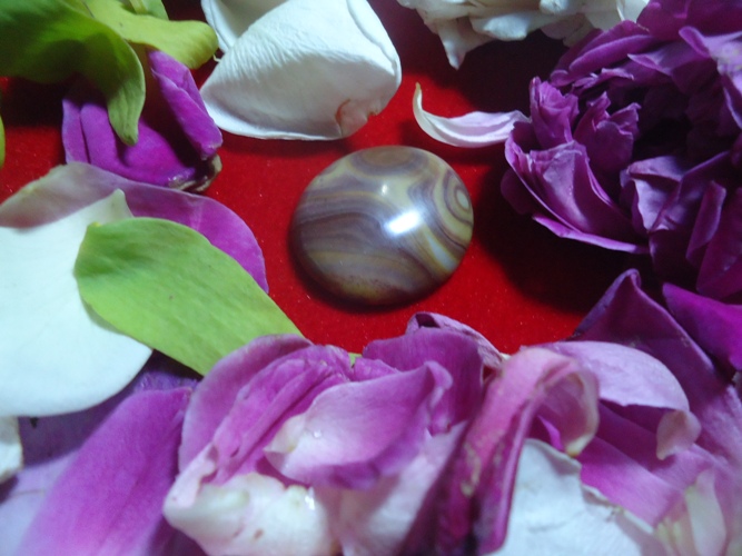 Di Maharkan Mustika Bayu Maruto - Padepokan Mustika Sakti