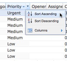 Up To Speed: Issue Management: Grid vs. Row View