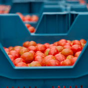 PakBec...Think Outside the Box: Bright future for Reusable Plastic ...