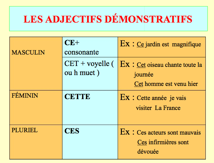les démonstratifs fle