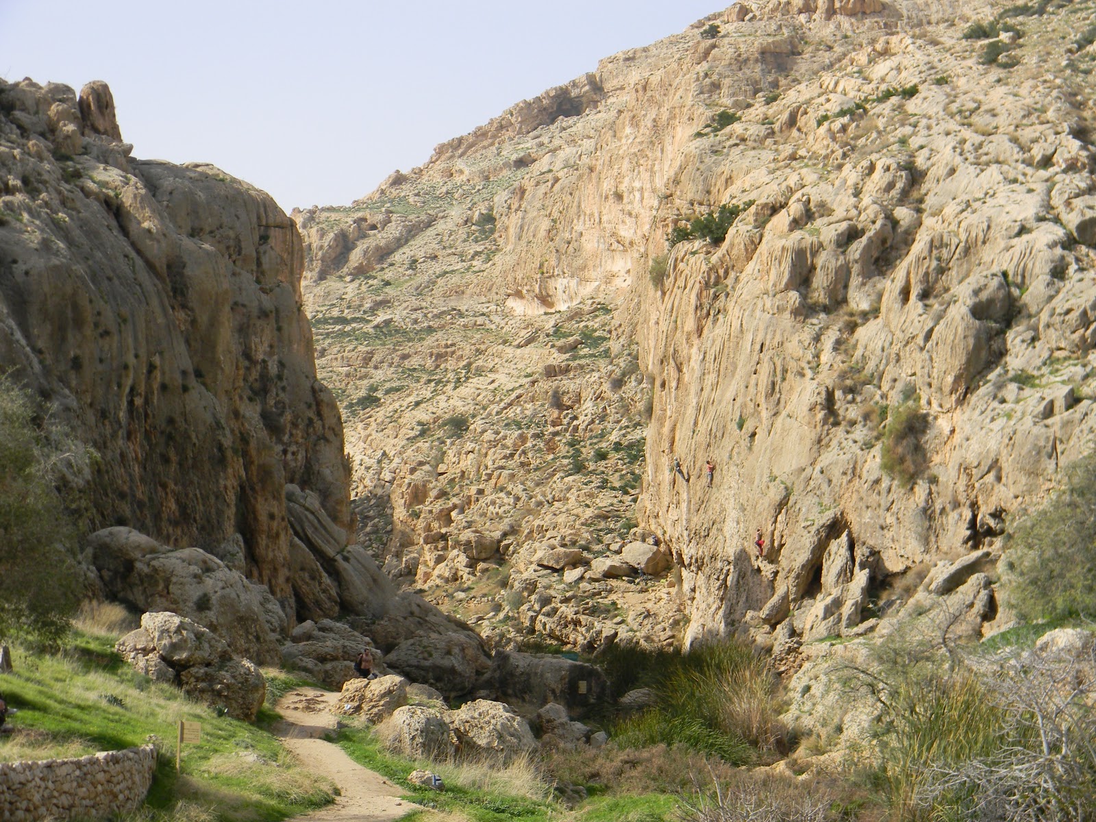 Israel: Parat Springs Hike