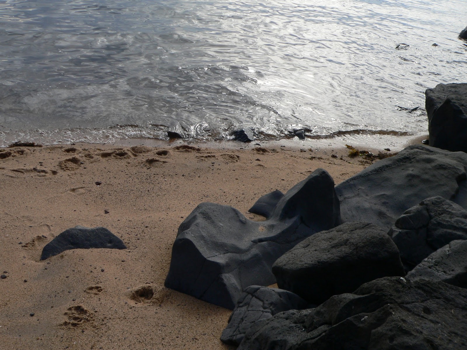 Melbourne Photographs Victoria Tasmania Queensland Australia: Melbourne ...