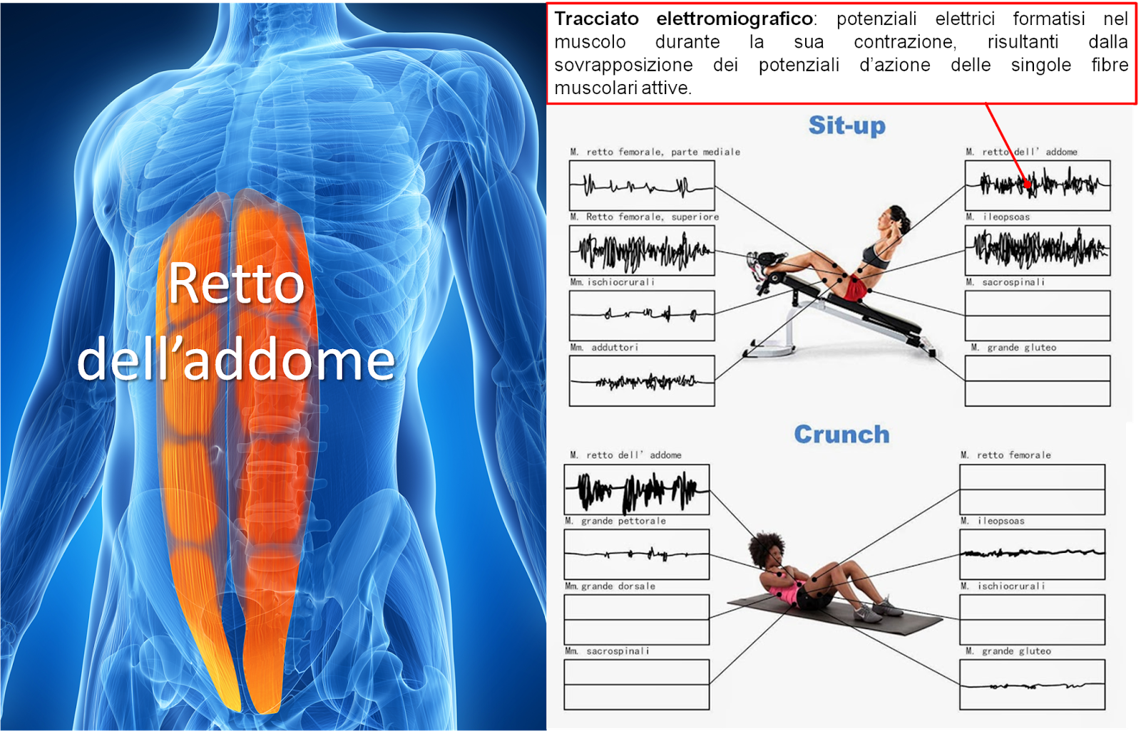 Nutritional Aids il blog di Pasquale Di Gioia