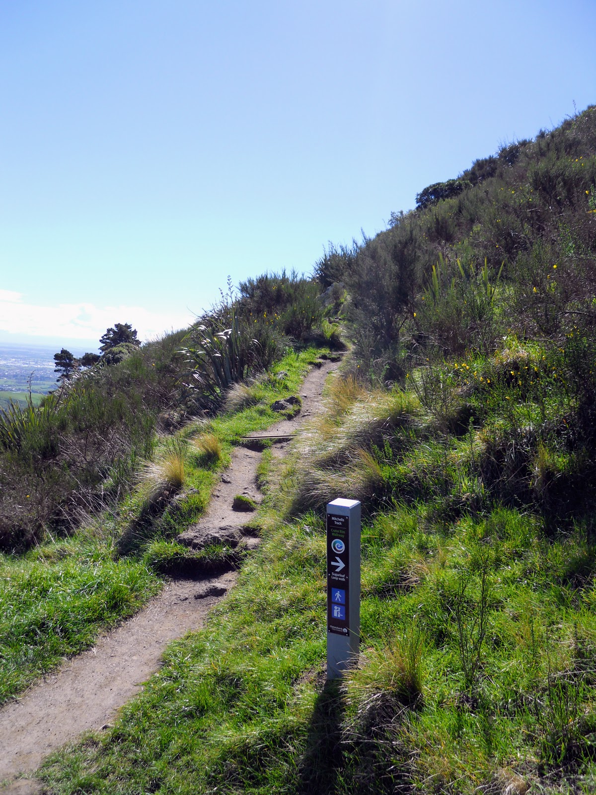 Tramping in the New Zealand backcountry: NZ Bush Adventures: Fitness ...