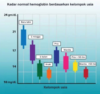 Penyebab Kadar Hemoglobin Rendah atau Tinggi | Medkes