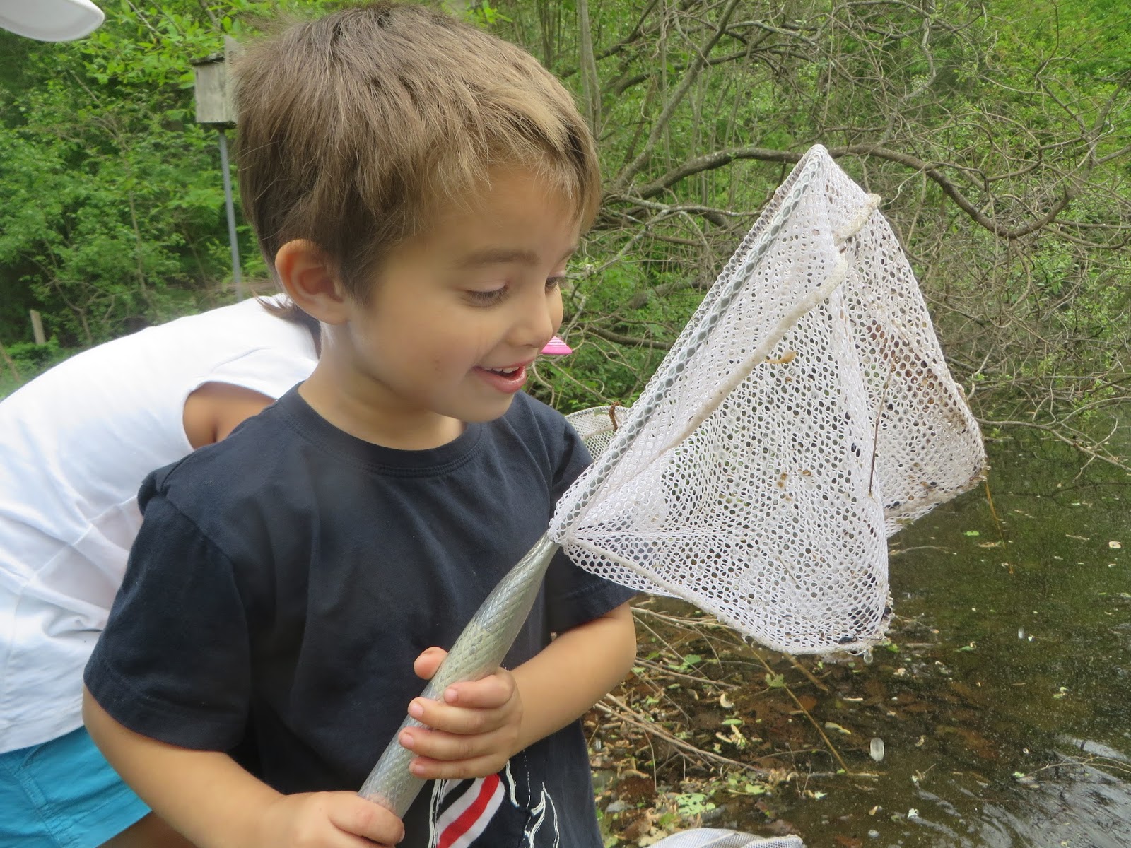 Boston Families on a Budget