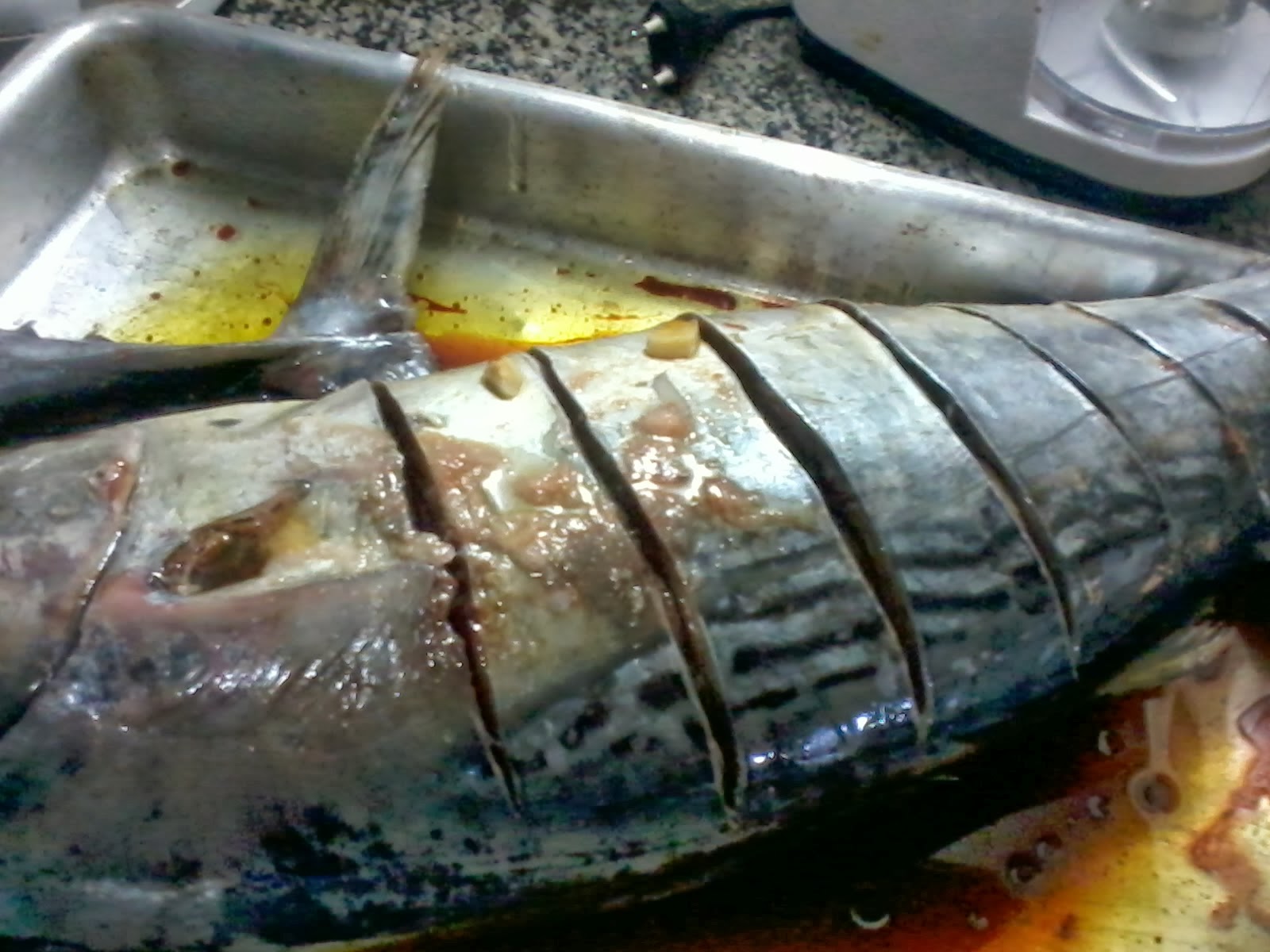 PROJETO VIDA SAUDÁVEL: PEIXES: BONITO (parente do atum)