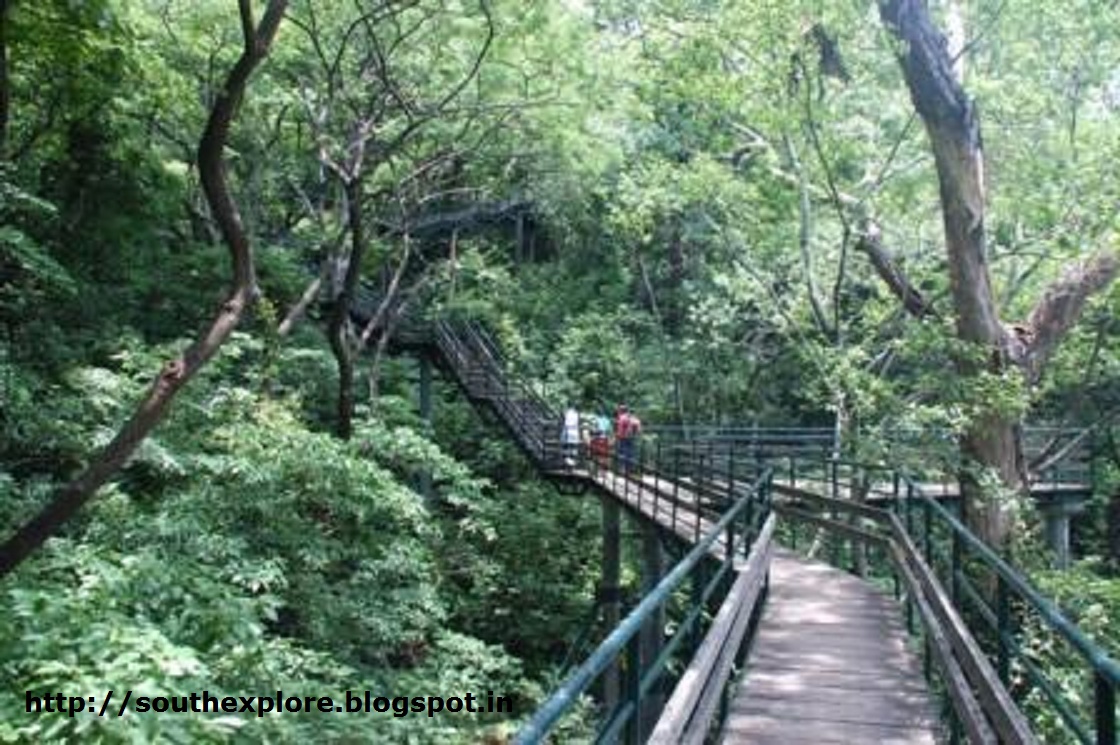 THENMALA ECOTOURISM / INDIA'S FIRST PLANNED ECOTOURISM DESTINATION ...