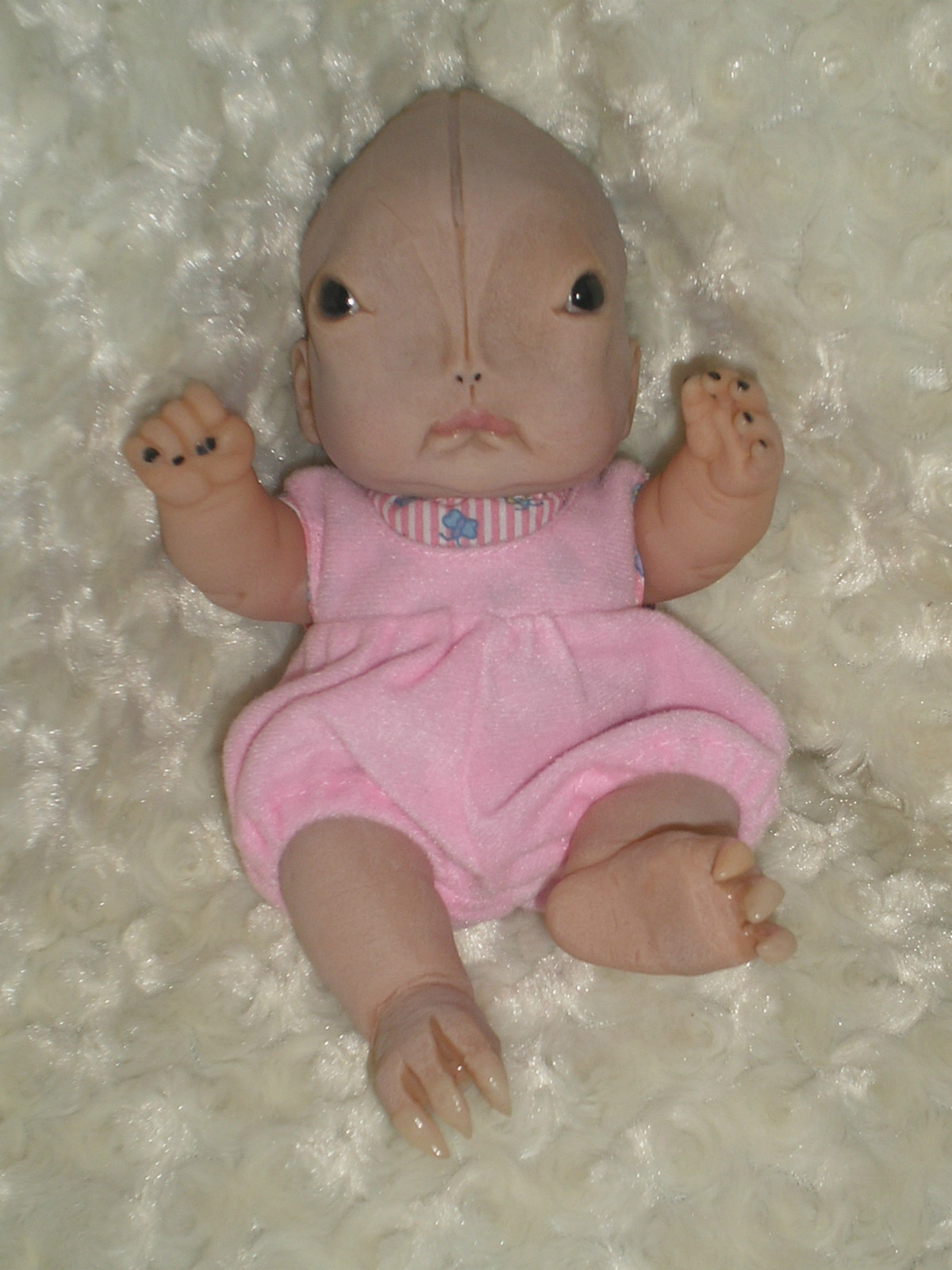 The Overlook Theatre: Lisa's Little Angels