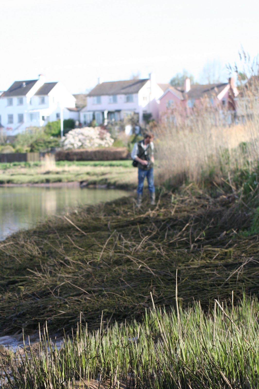 JPR Environmental: Erosion control on the Exe Estuary