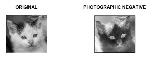 Image Processing With Matlab Lab03 Intensity Transformation And Spatial Filter Part 1 3909