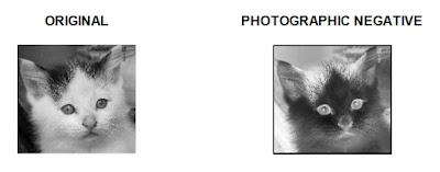 Image Processing with MATLAB: [Lab03] Intensity Transformation and ...