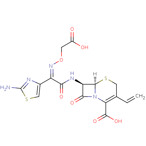 Pharmacology Of Cefixime