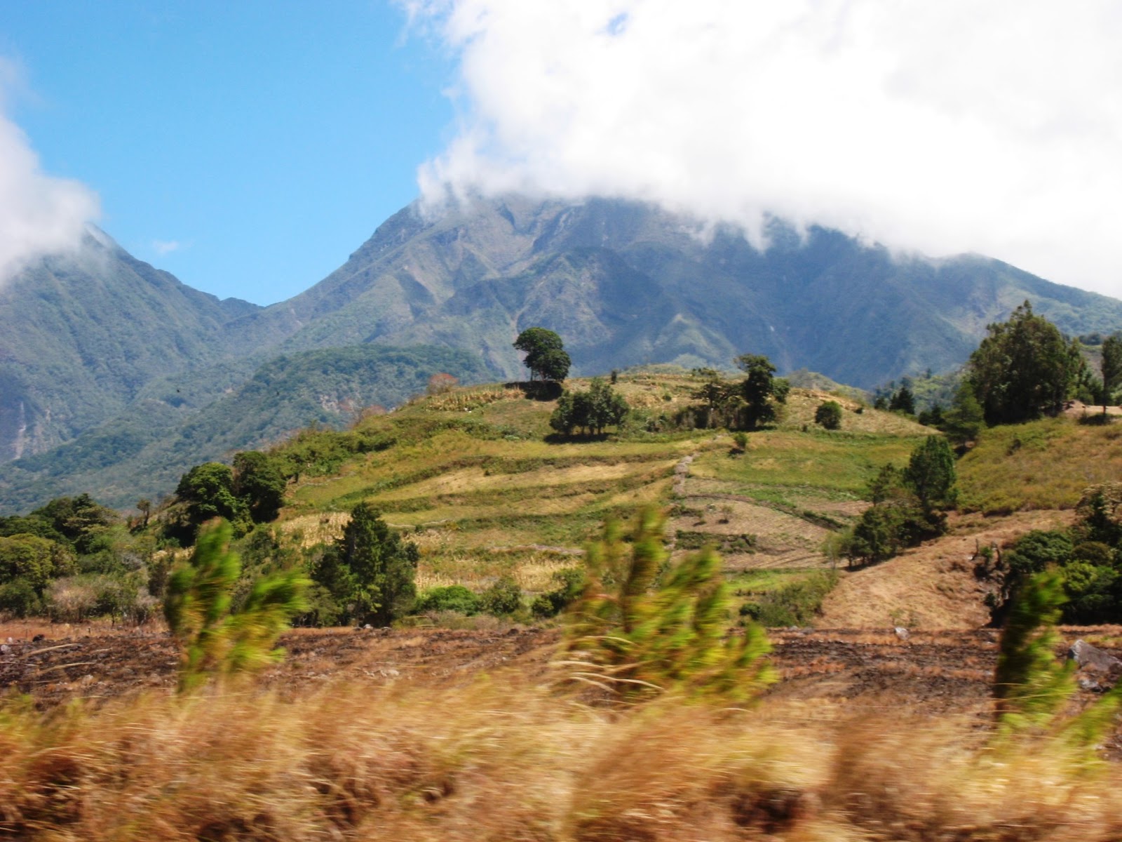 Adventures in Panama 2013: Visit to Cerro Punta