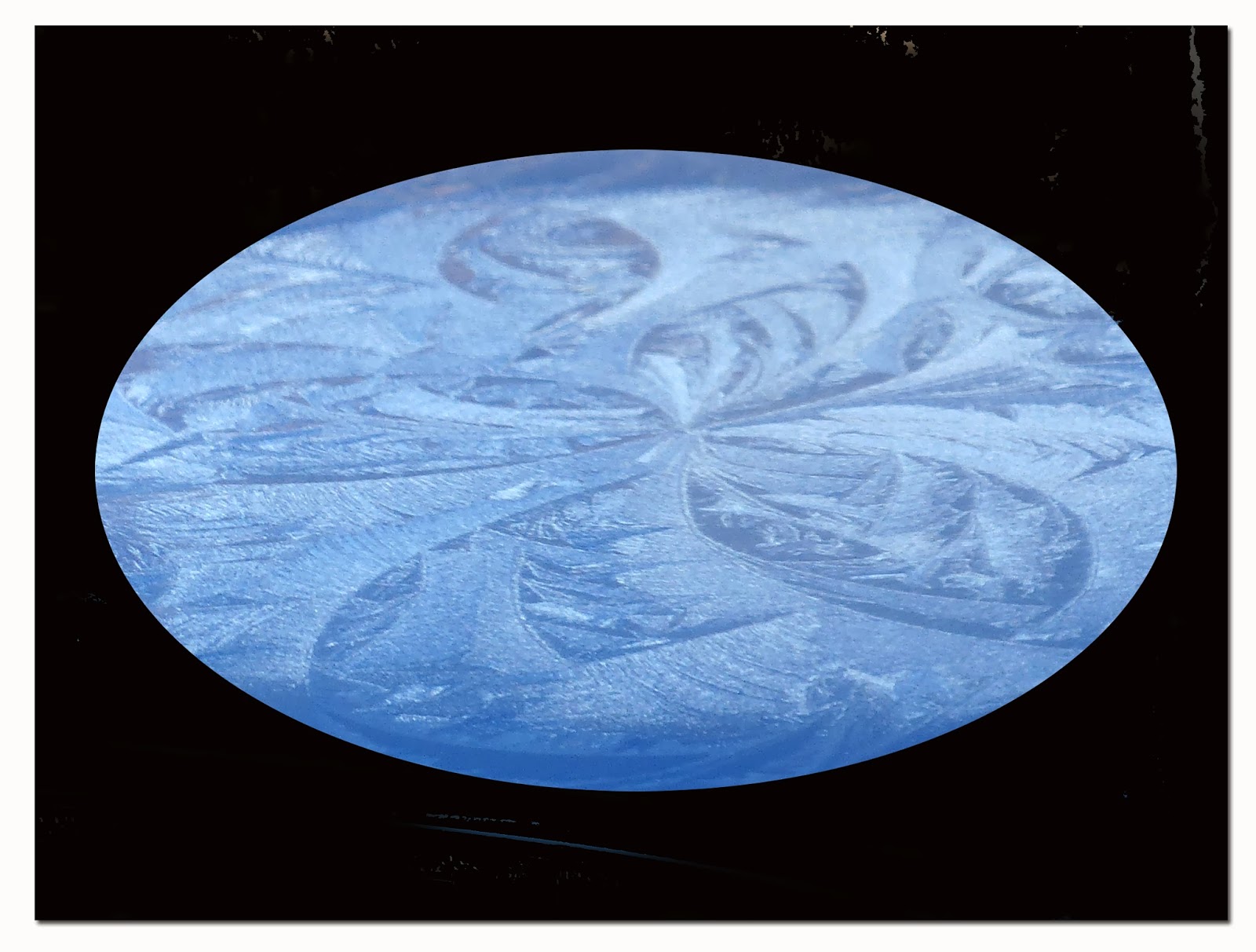 Wild and Wonderful: Frostflowers: Fractal, Feathered or Fern-like?