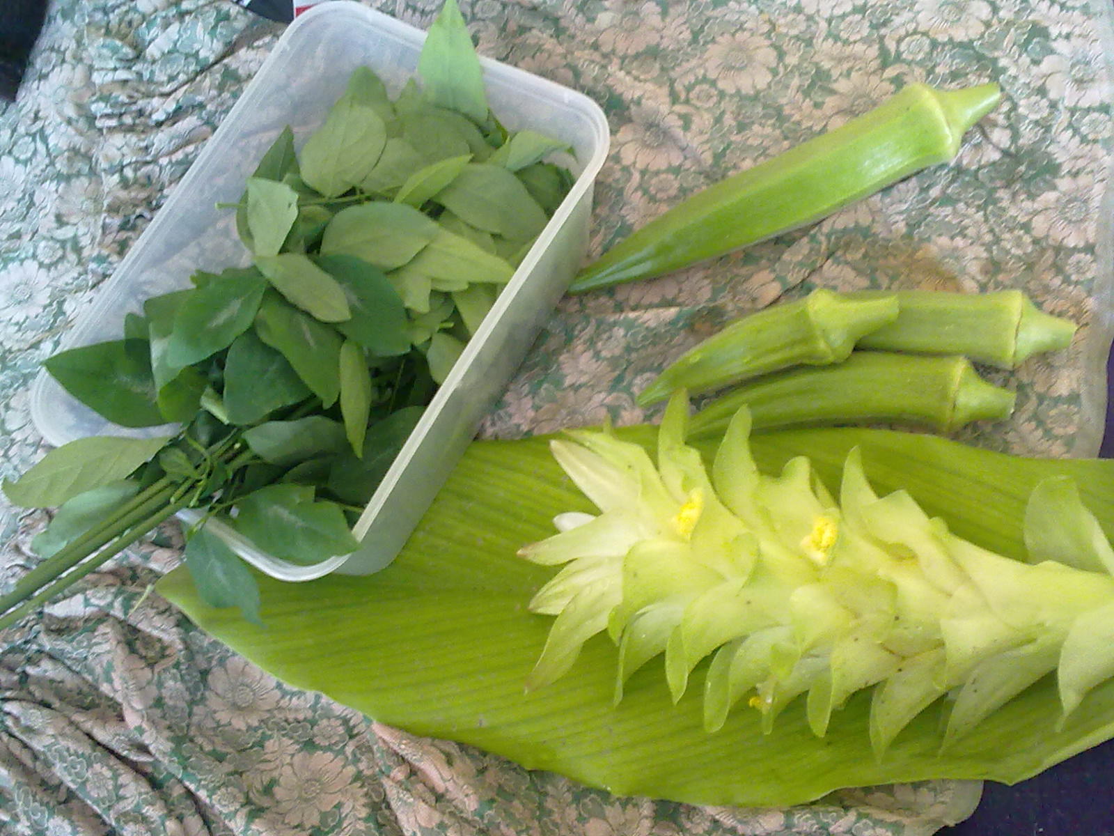 Manfaatkan masa menghasilkan kemanfaatan: Pucuk Manis