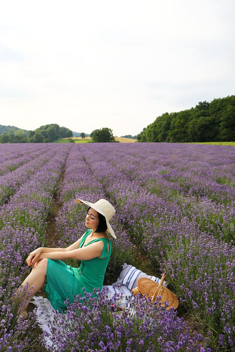 Aleksandra Ladygin: LAVENDER FIELD IN GERMANY