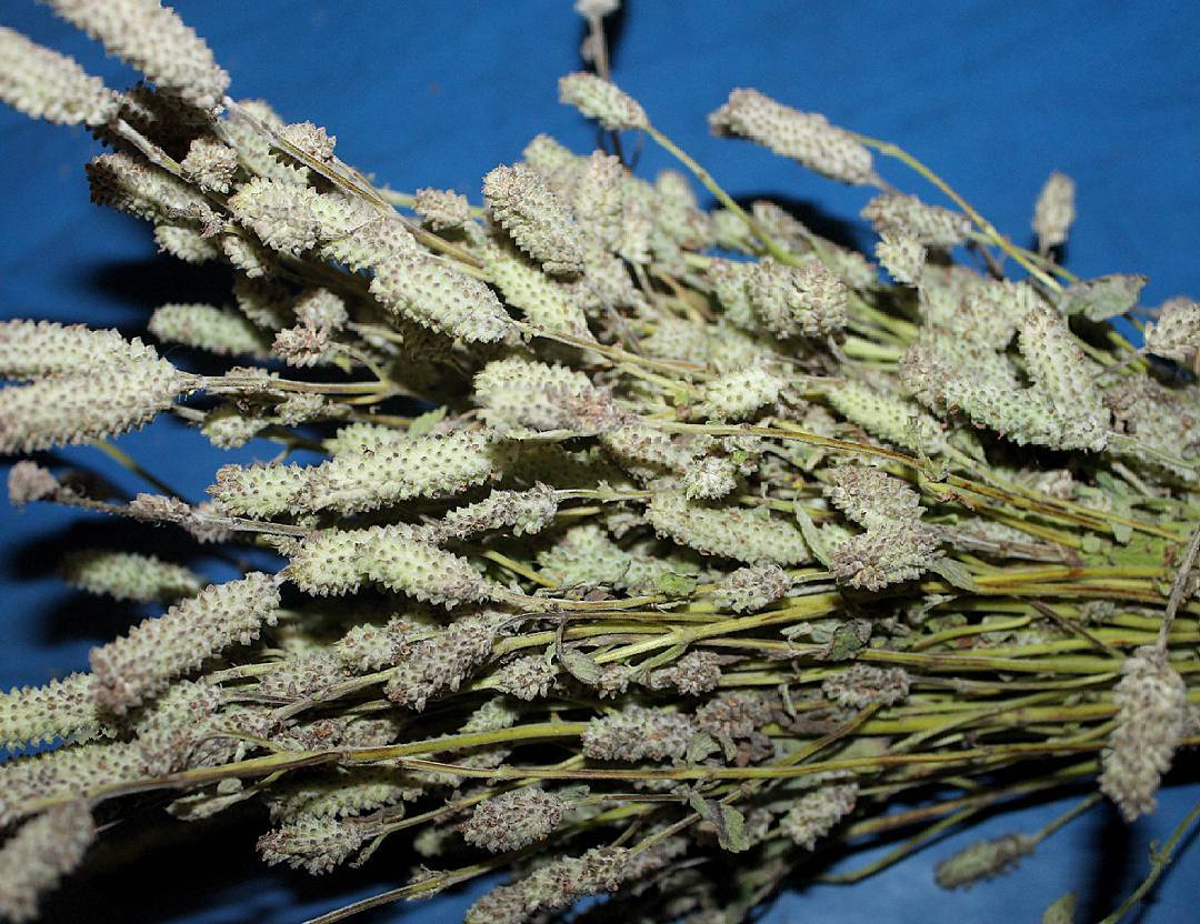 MIZO CHAWHMEH (MIZO Dishes/Curry/Cuisine) | TIMES OF MIZORAM