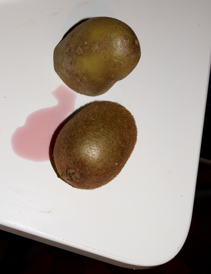 MEMOIRE VIVE: Pomme De Terre