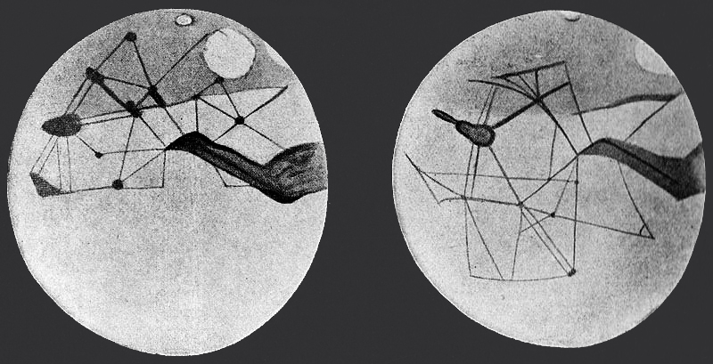 Citizen O'Kane: Percival Lowell and the Blood Vessels of Venus