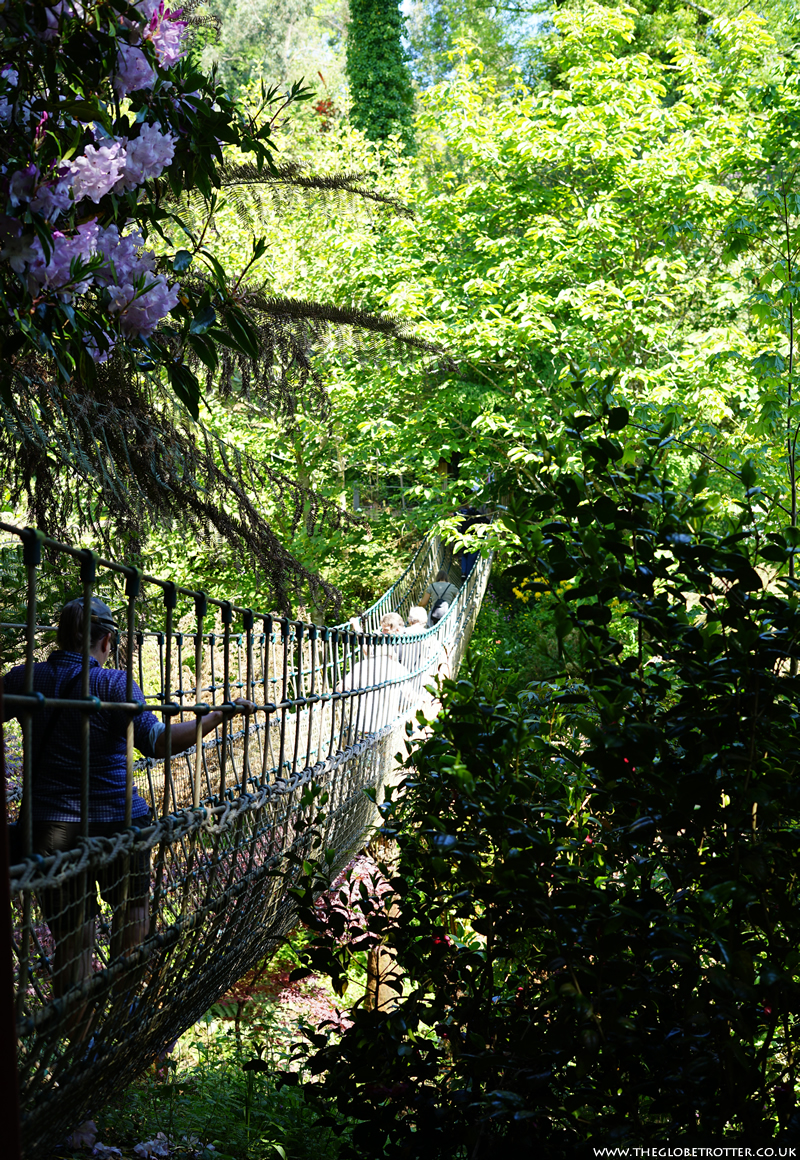 The Lost Gardens of Heligan - The Globe Trotter