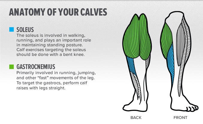 Want Huge, Diamond-Shaped Calves? Take This 4 Best Calf Exercises