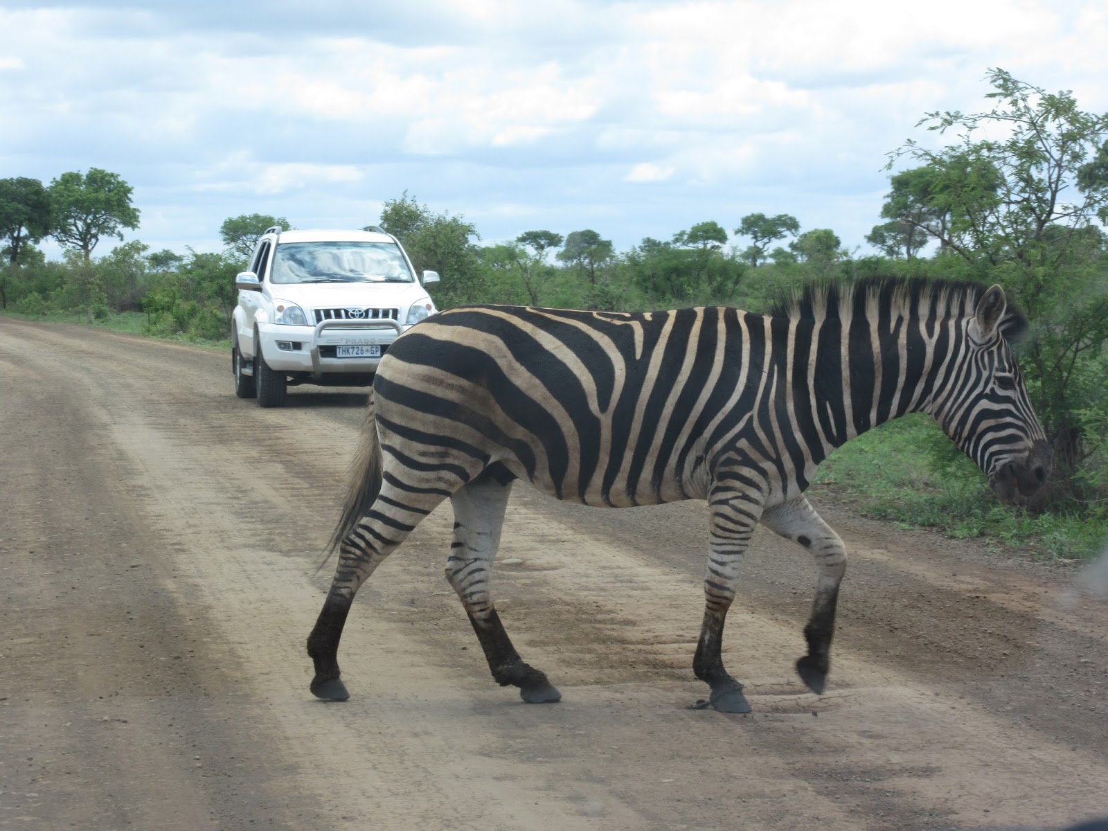 The Overseas Adventures of Annie and Steven Berger 2016: 11/27: Hippos ...