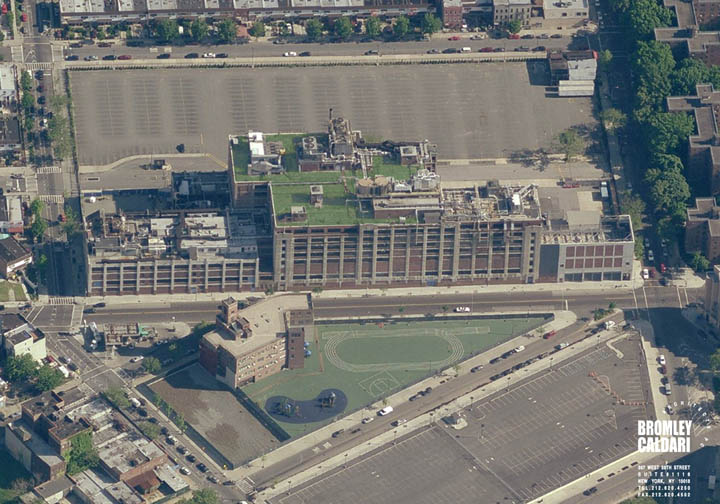 ALIVE STRUCTURES: May 2013