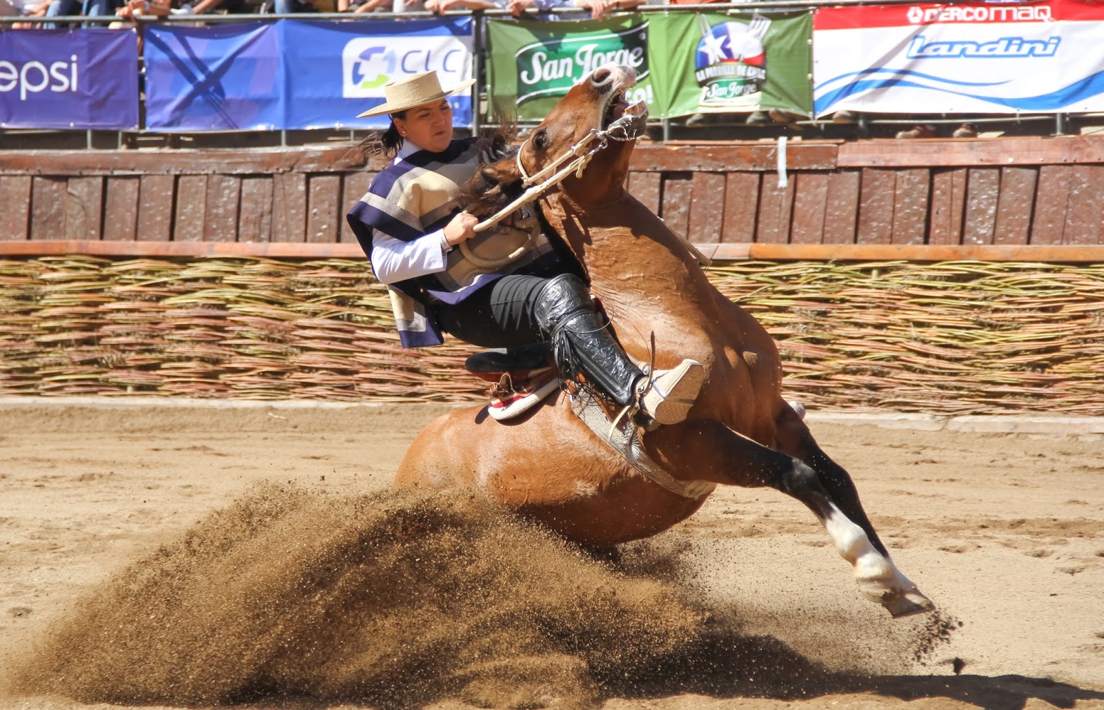 Educación Física y Cultura Física: EL RODEO CHILENO ES EL DEPORTE ...